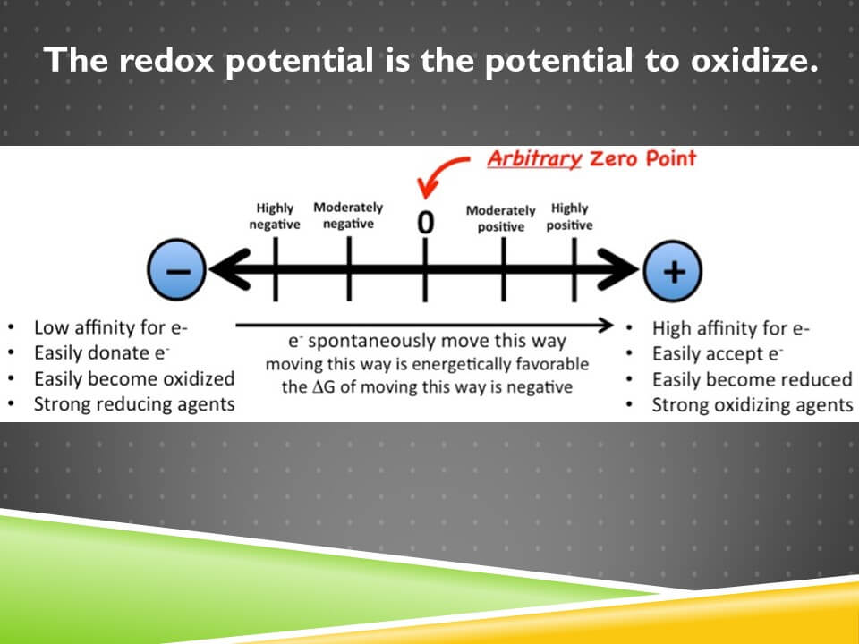 3. Cellular Respiration | Chris Masterjohn, PhD